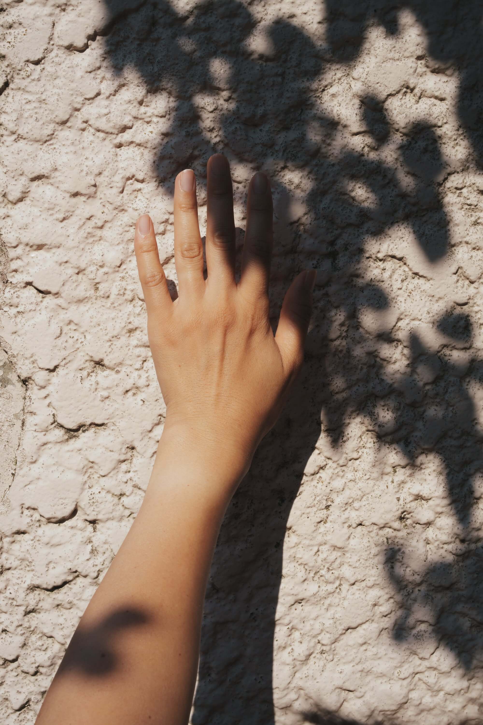 H365｜UV/ブルーライトカットのオーガニックハンドクリーム – H365-onlinestore